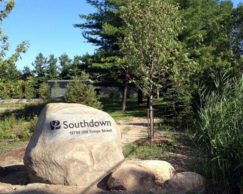 More - Southdown